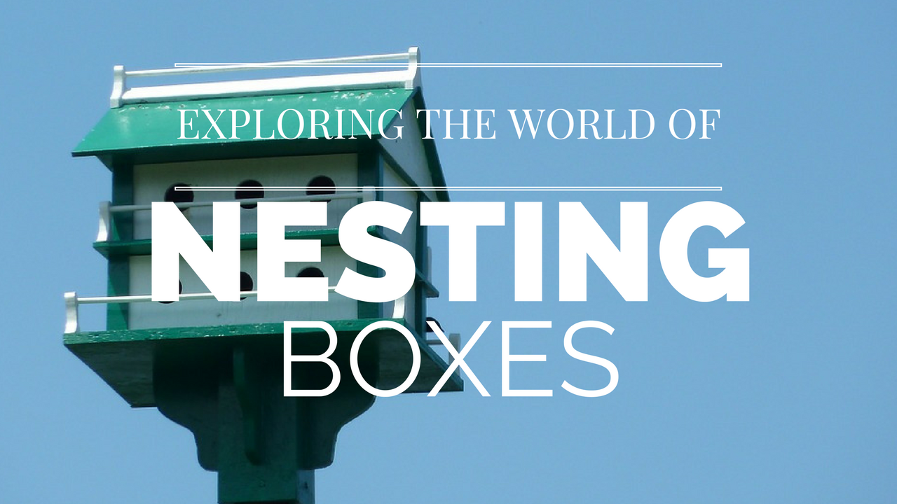 How to Choose the Perfect Nesting Box for Birds, Ducks and Bats ...