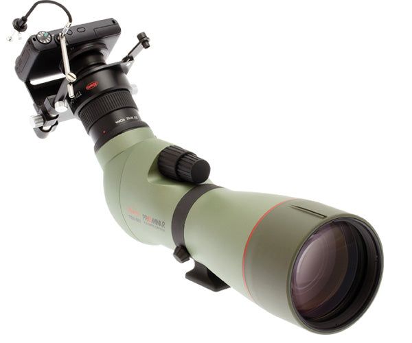 Take Your Bird Watching Photography to the Next Level with Digiscoping ...