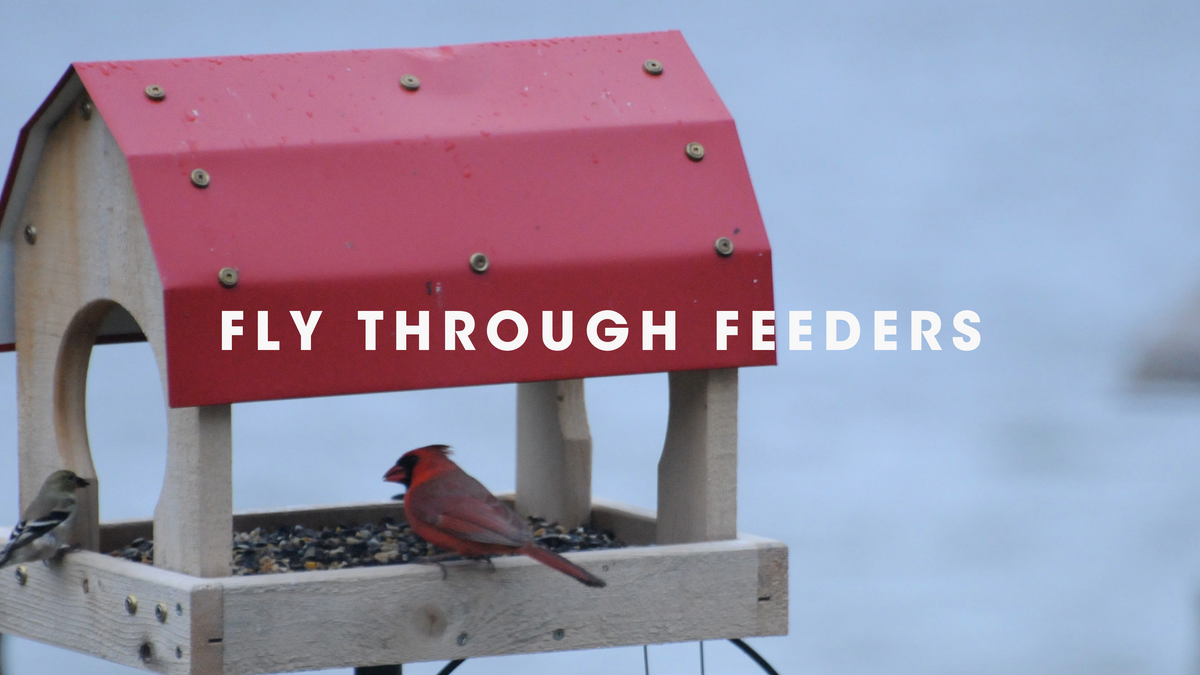 Fly Through Bird Feeders – Gilligallou Bird