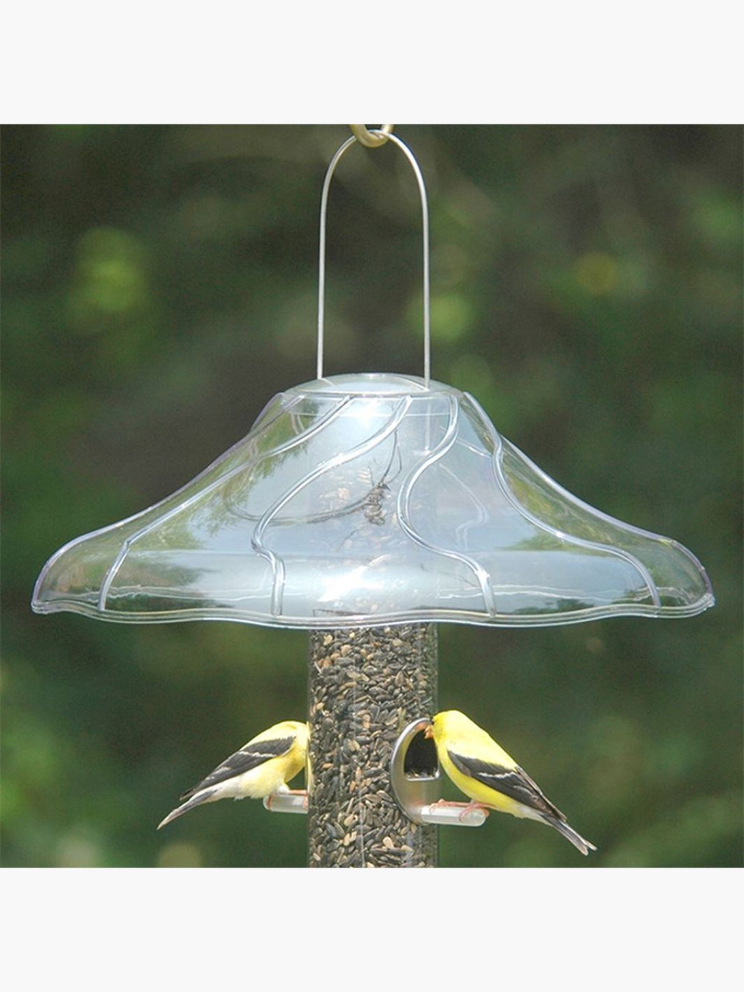 Aspects Fancy Swirl Dome for Weather Protection – Gilligallou Bird