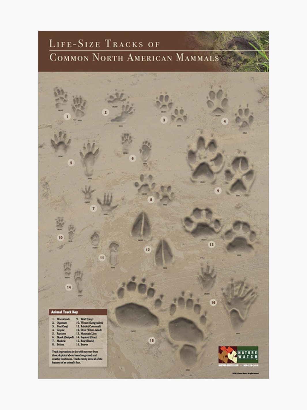 Products – Gilligallou Bird