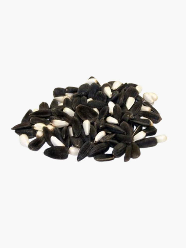 The Risks of Hot Pepper Bird Seed: What Every Birder Should Know ...