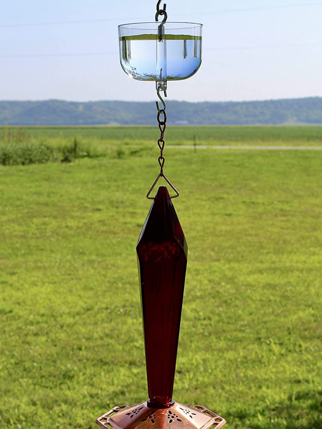Ant Moat - Nectar Protector Jr. – Gilligallou Bird