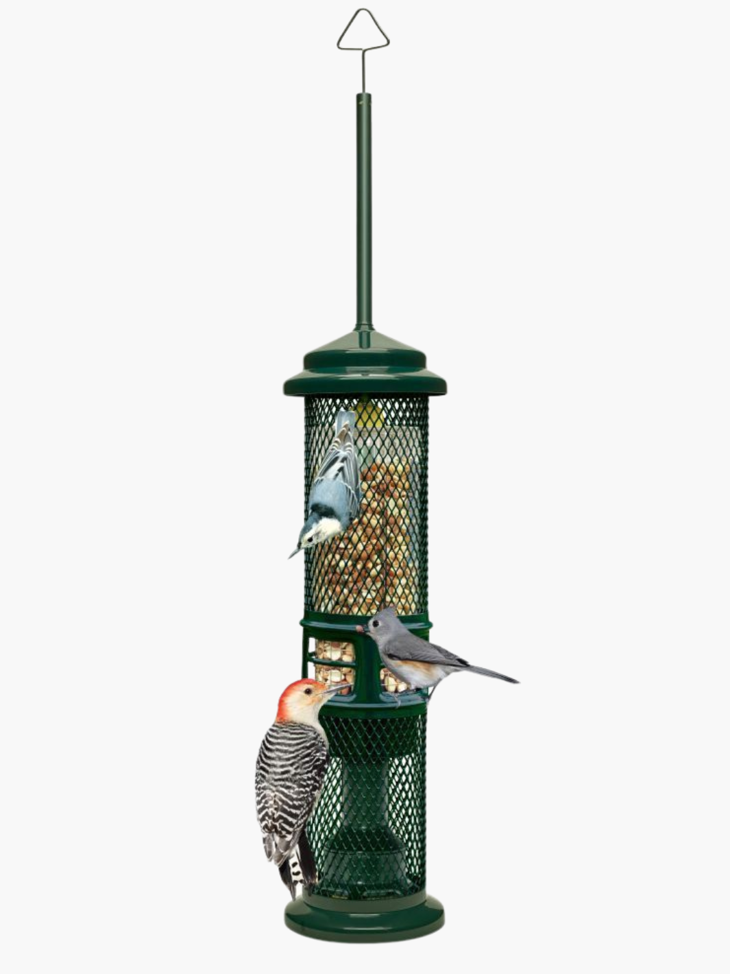 Squirrel Buster Peanut Feeder - Stop Squirrels, Attract Woodpeckers ...