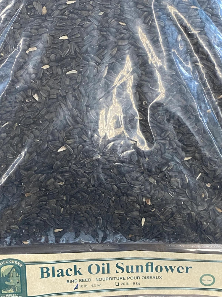 What is a Bird’s Mantle? – Gilligallou Bird