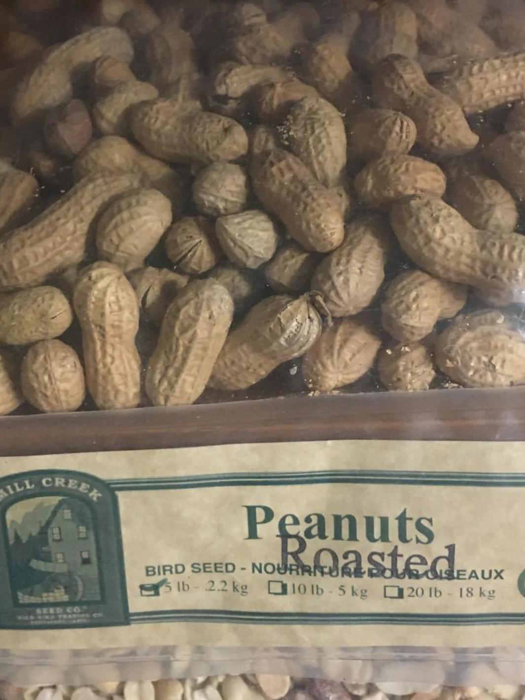 Premium Roasted Peanuts in Shell for Wild Birds – Gilligallou Bird